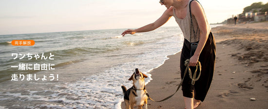 TORRAS LoopGo Flex スマホ ショルダーストラップ｜調節可能で快適＆安全 – TORRAS-JP